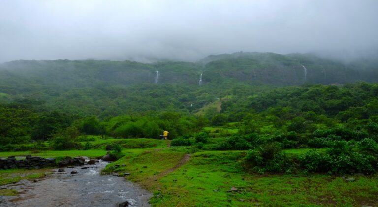 Aadrai Jungle Trek: Trek To Aadrai From Mumbai / Pune | AdventuRush