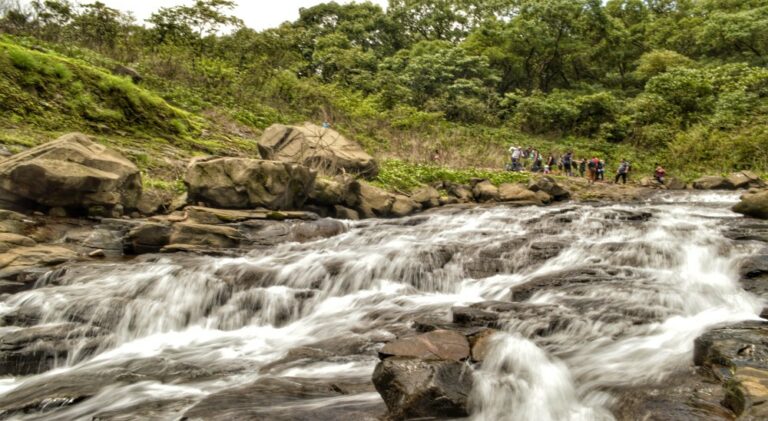 Andharban Jungle Trek: Trekking Start From Mumbai / Pune | AdventuRush