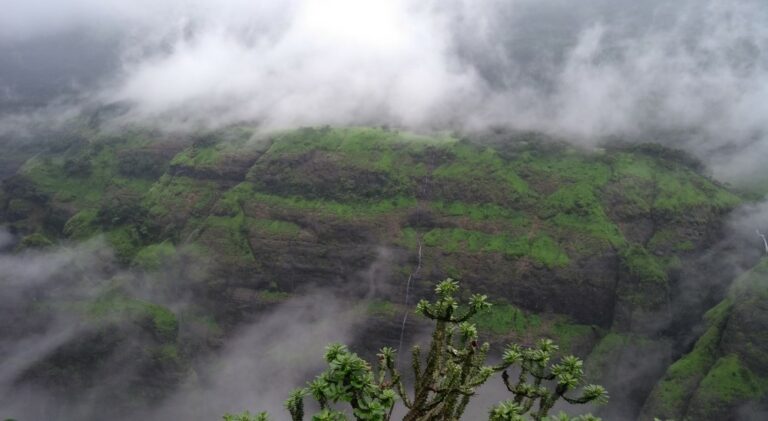 Andharban Jungle Trek: Trekking Start From Mumbai / Pune | AdventuRush