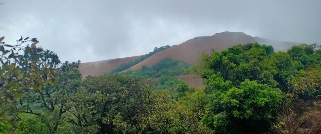 Kodachadri Trek: Trekking To Kodachadri From Bangalore | AdventuRush