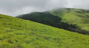 Netravati Trek From Bangalore Package | Price & Booking Details