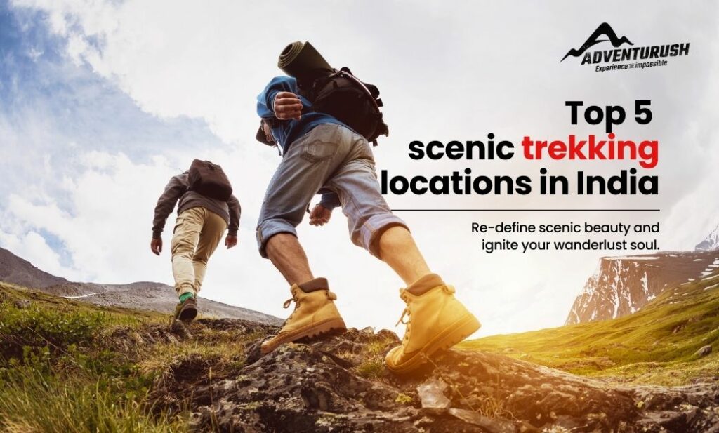 Top 5 Scenic Treks in India You Must Try In 2024