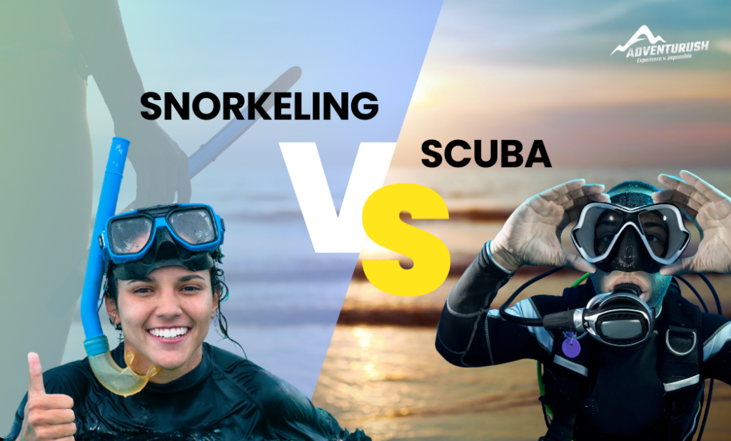 Snorkelling vs. Scuba Diving: What's the Difference? | AdventuRush