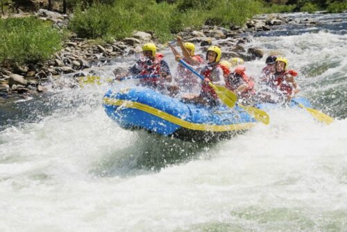 Top 10 Adventure Sports Activities in Goa You Must Try